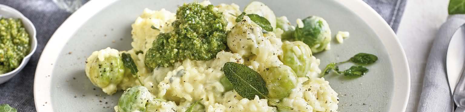 Vegetarisch kochen mit dem Kochmagazin köstlich vegetarisch